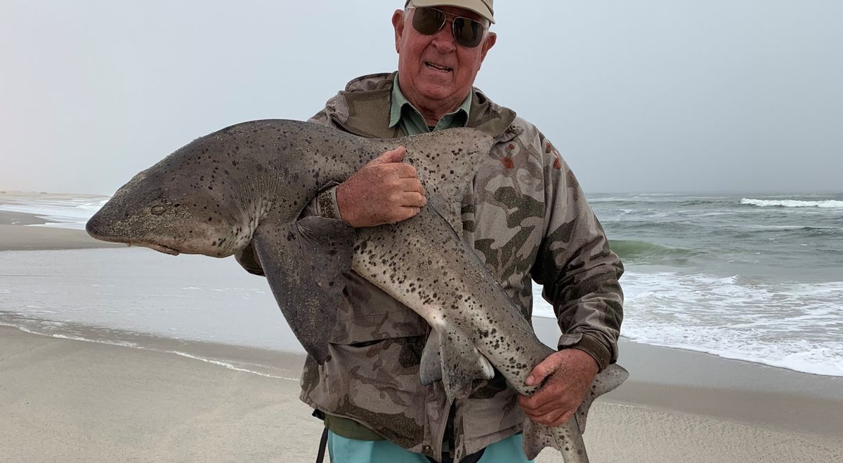 Damaraland Photographic and Skeleton Coast Fishing Safari / Hentiesbaai ...