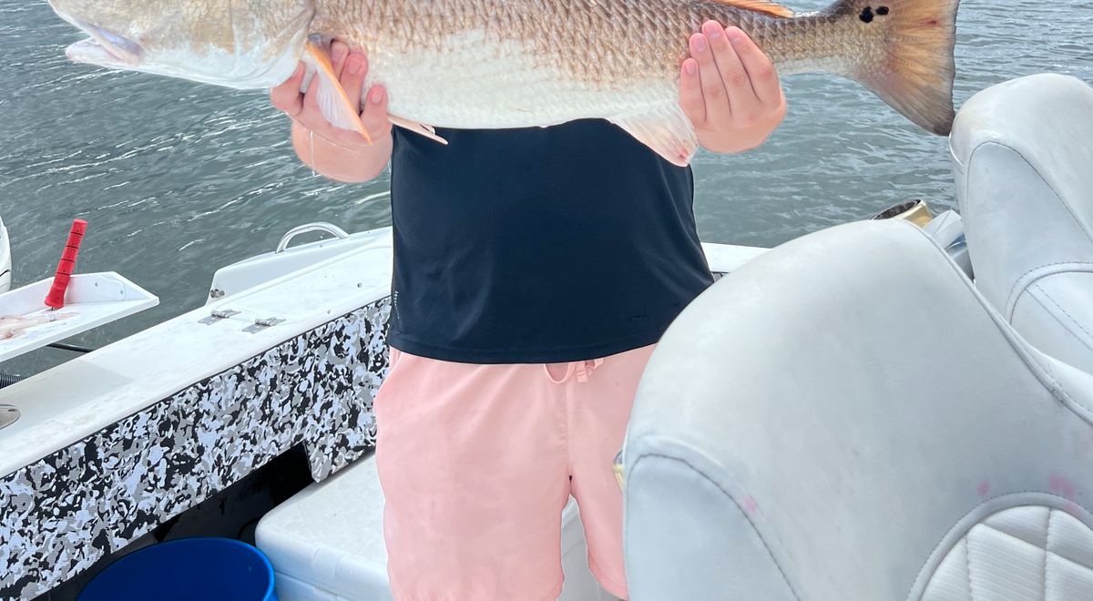 Near Shore, Shark, Reef, Offshore / Charleston, South Carolina, United ...