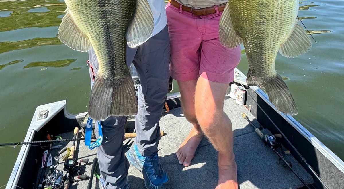 Fishing guide for Black Bass / Las Quemadas, Andalusia, Spain ...