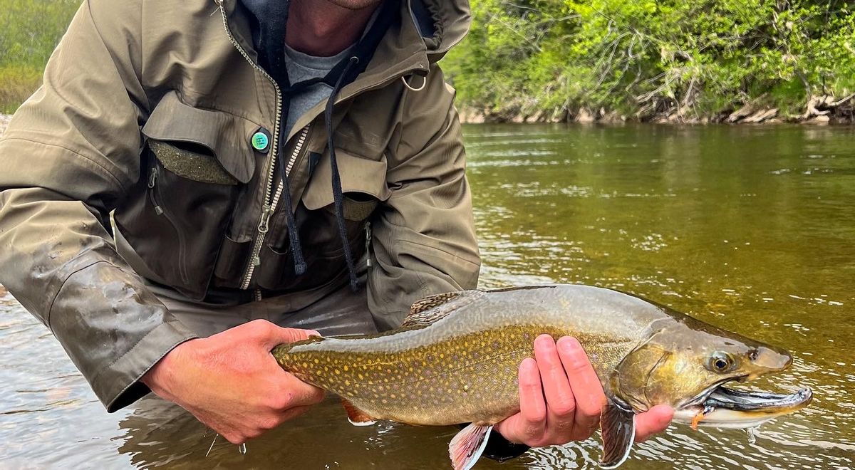 Trout walk and Wade / North East Margaree, Nova Scotia, Canada ...