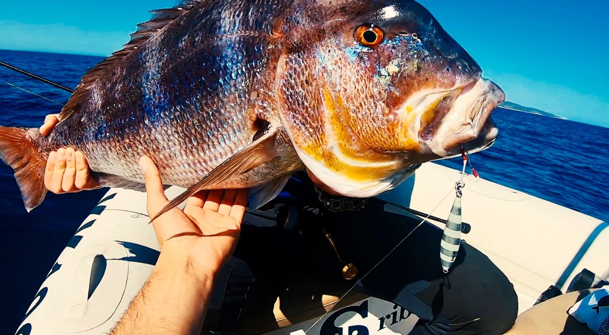 Split Sportfishing / Split-Dalmatia County, Croatia - BaitYourHook