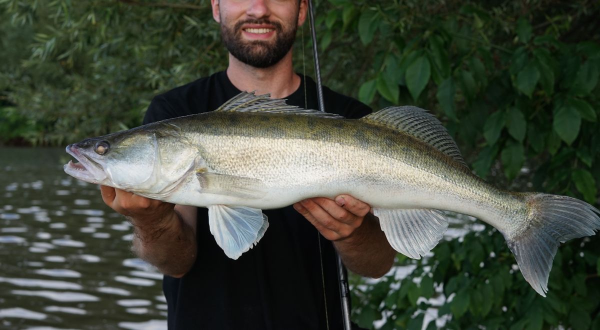 MULTI SPECIES Shore Spinning In Danube / Herzogenburg, Lower Austria ...