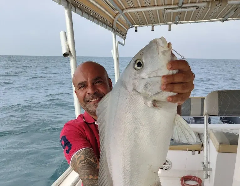 Abo Youssef Fishing Trips From Ajman / Ajman, عجمان, United Arab ...