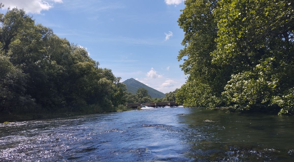 Fishing trout / Klobuk, Federation of Bosnia and Herzegovina, Bosnia ...